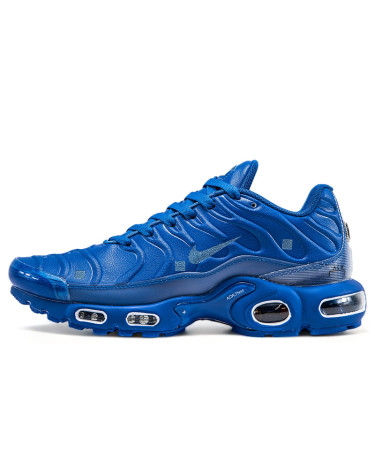 Оригінал Nike Air Max TN Plus Blue купити з доставкою в Україну